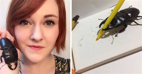 Woman Has Stag Beetle As A Pet And Her Tweets Will Make Your Day