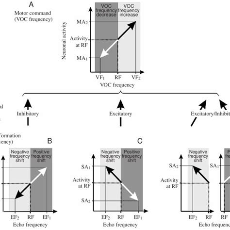 Doppler Shift Compensation Behavior In Response To Sinusoidal Negative Download Scientific