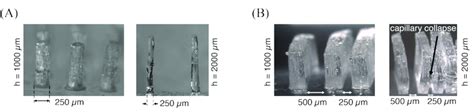 Lithography Test Structures A Pillars At Ar Of 14 Left And 18 Lithography Test Structures A Pillars At Ar Of 14 Left And 18