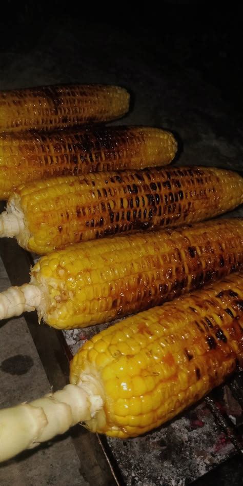 افتارات بنات Studeren