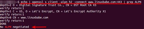 Difference Between Npn And Alpn And How To Enable Alpn In Apache Nginx Linuxbabe