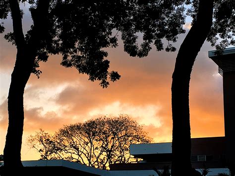 무료 이미지 나무 실루엣 구름 하늘 일몰 밤 햇빛 아침 꽃 새벽 황혼 저녁 반사 우디 식물 2801x2099 197607 무료 이미지