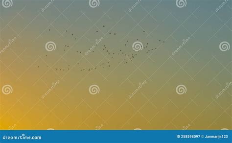 Flock Of Geese Flying In A Blue Sky In Sunlight At Sunrise In Autumn Stock Image Image Of