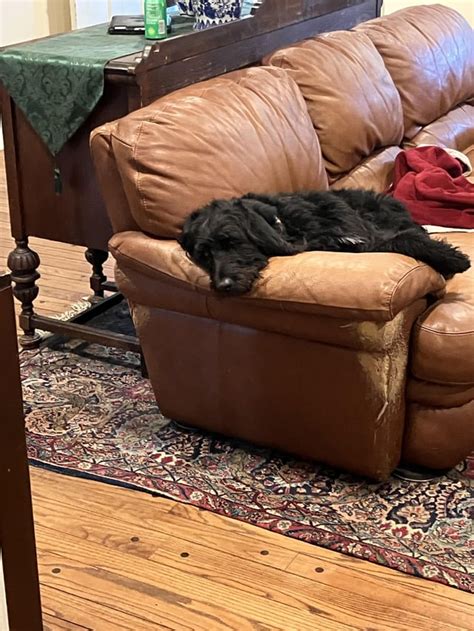 Fig Problem Solved Rfigs