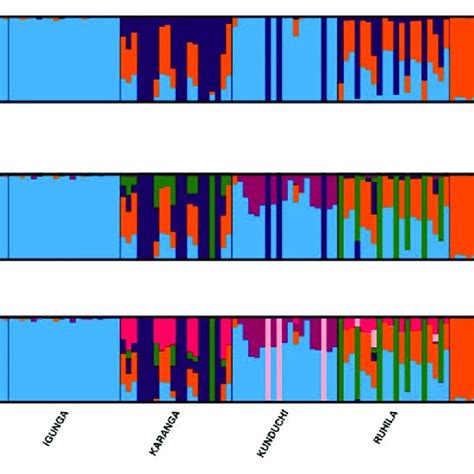 Structure Analysis Bar Plots For K 3 5 And 7 Admixture Model