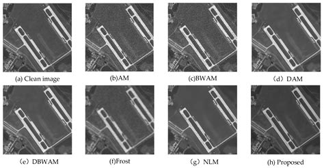 Enhancing RABASAR For Multi Temporal SAR Image Despeckling Through Directional Filtering And