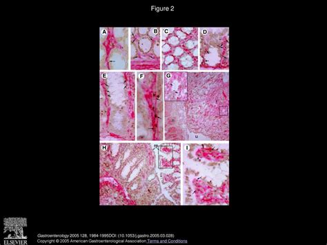 Volume 128 Issue 7 Pages June 2005 Ppt Download