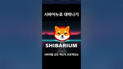 시바이누 코인의 전망과 높은 수익 가져갈 수 있는 정보 Youtube