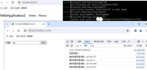 使用JS和C 完成websocket双向通讯 万金流 博客园