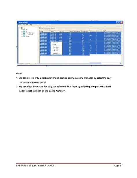 Cache Management Obiee 10g PDF