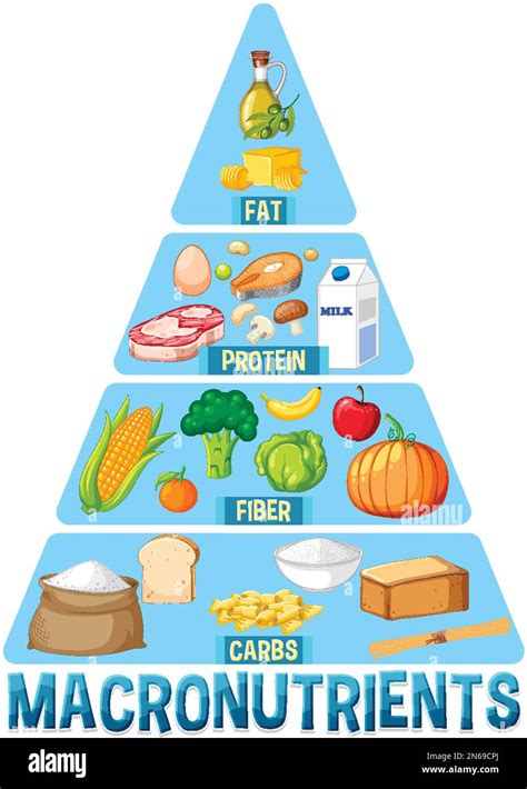 Food Nutrition Groups Pyramid Illustration Stock Vector Image And Art Alamy