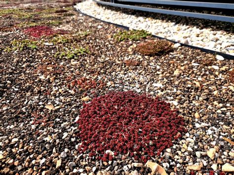 Lightning Conductor Is Used To Protect Buildings Stock Image Image Of Attic Conductor 372359881