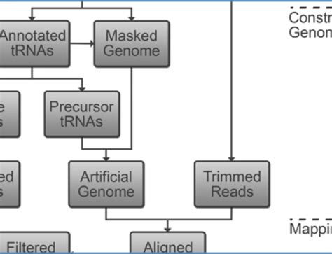 Contextmap 2 Fast And Accurate Context Based Rna Seq Mapping Rna