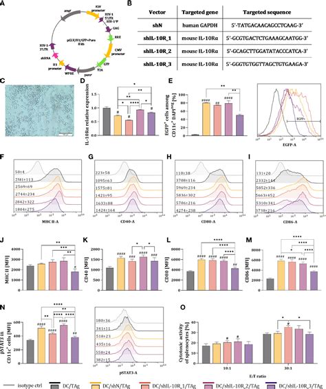 Frontiers Combined Therapy With Methotrexate Nanoconjugate And