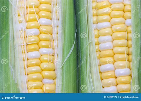 Raw Sweetcorn Stock Image Image Of Fresh Food Grain 34261977