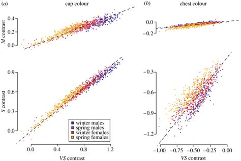 Sexual And Seasonal Changes In Adult Cap And Chest Coloration A Blue Download Scientific