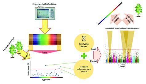 the schematic workflow of the hierarchical data integration strategy