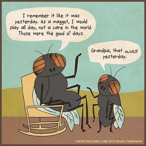 73 Best Fun Bug Puns Images On Pinterest Bug Puns Hilarious Stuff
