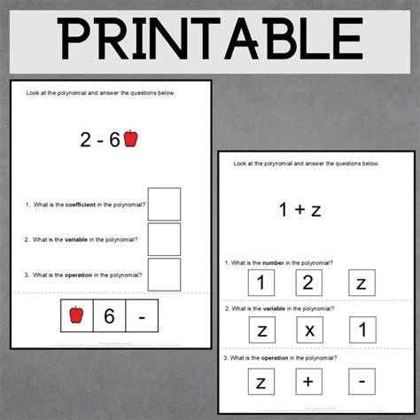 Super Simple Polynomials Activity High School Special Education Easy