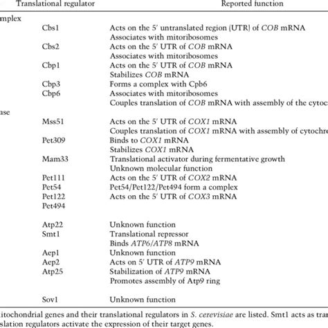 Translational Regulators In Yeast Mitochondria Download Scientific Diagram