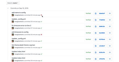 Checks Interface For Github Pages Disappeared After Nojekyll
