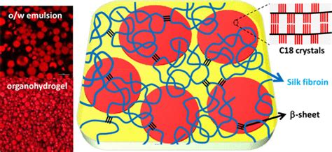 Acs Applied Bio Materials Vol 6 No 4 Acs Publications