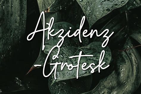 Artecallya Font Fonts