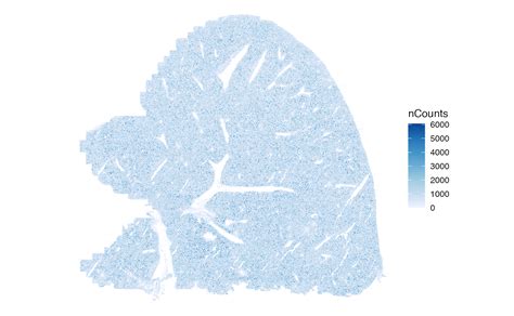 Merfish Mouse Liver Dataset And Considerations Of Large Data • Voyager