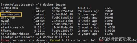 docker 彻底删除容器 包含停止容器，删除镜像流程 csdn博客