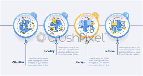 Memorizing Information Stages Circle Infographic Template Stock Vector 5531513 Crushpixel