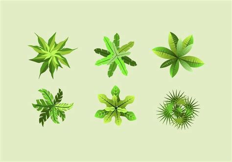 FREE TREE TOPS VECTOR 105755 Vector Art At Vecteezy