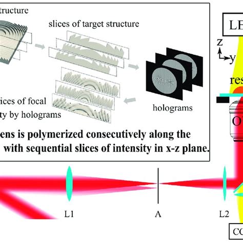 Schematic Of The Experimental Setup For 1d Scan Two Photon