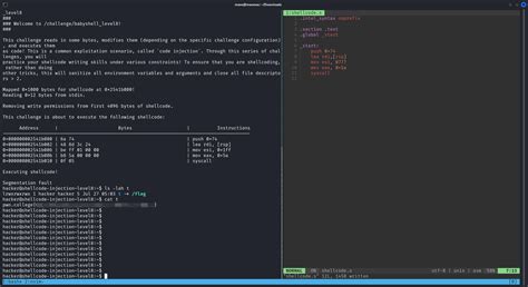 Pwn College Shellcode Injection