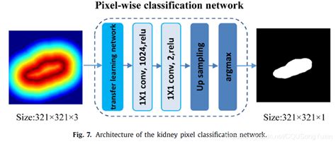 文献阅读 医学超声图像分割 利用边界距离回归和像素分类网络实现超声图像肾脏自动分割神仙院b栋4楼保安的博客 Csdn博客