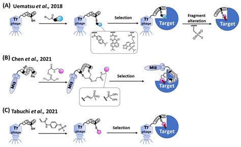 Biomolecular Targeted Covalent Inhibitors Encyclopedia Mdpi