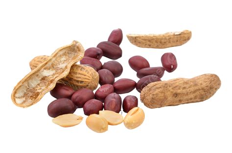 รูปถั่วลิสงบนอาหารพื้นหลังสีขาว Png มังสวิรัติ ธรรมชาติ สุขภาพภาพ