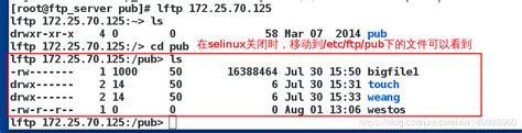 linux selinux详解 csdn博客