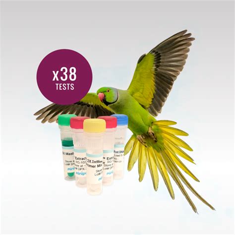 Zeewee Ii Bird Dna Sex Test 38 Tests Minipcr Dx