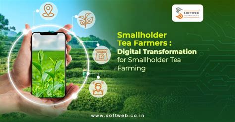 Smallholder Tea Farmers Digital Transformation For Smallholder Tea Farming Digital