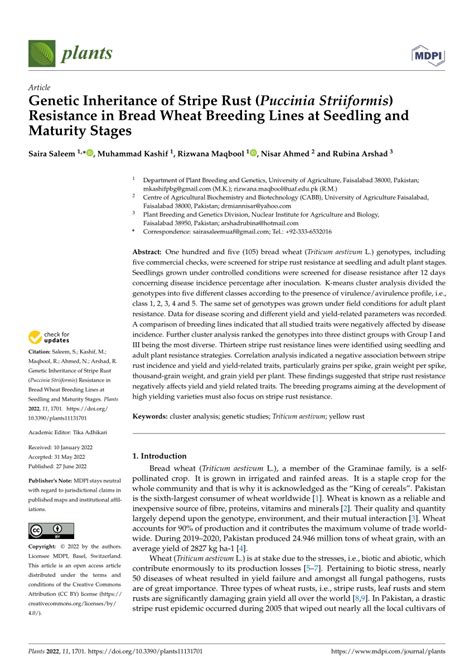 Pdf Genetic Inheritance Of Stripe Rust Puccinia Striiformis Resistance In Bread Wheat