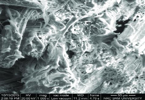 A Sem Micrograph Of Flax Kenaf Epoxy Hybrid Composite Download Scientific Diagram