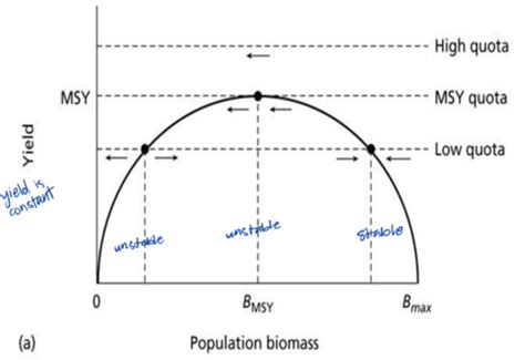 Biol 461 Midterm 3 Flashcards Quizlet