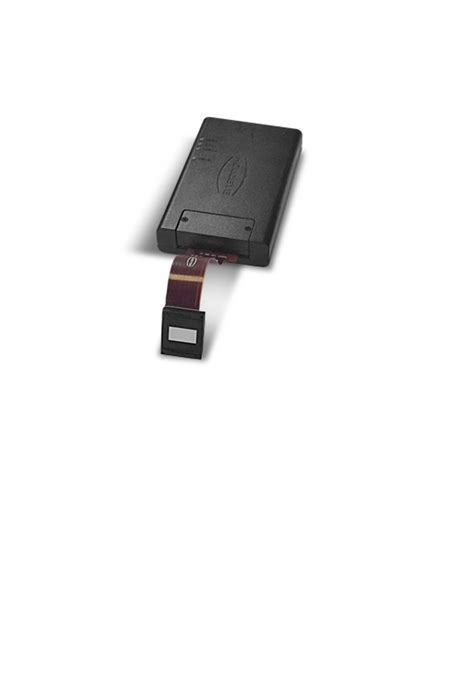 Spatial Light Modulators Optics