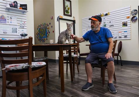 Las Vegas Two Cat Cafés Bring Cats Coffees And Chaos Entertainment