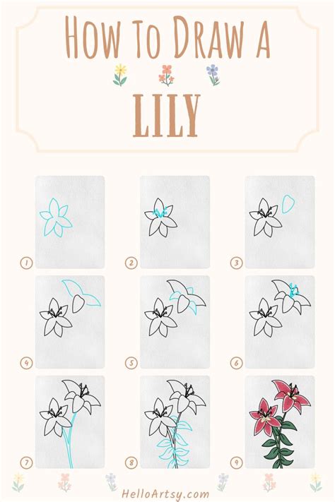How To Draw A Lily Learn To Draw In 9 EASY STEPS Simple Flower Drawing Flower Drawing For