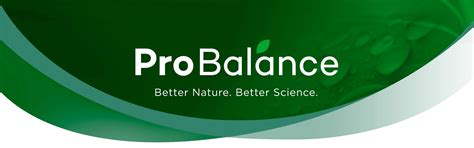ProBalance