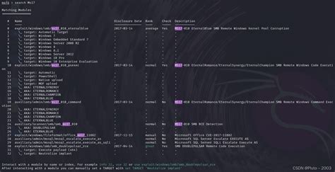 metasploit framework（msf）从入门到实战（一） msf更新 csdn博客