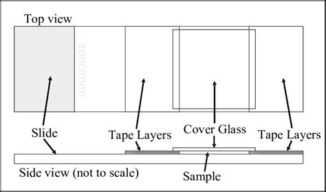 2 4 1 Schematic Representation Of A Customized Microscope Slide