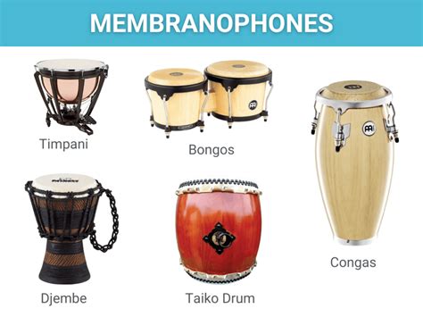 Percussion Musical Instruments