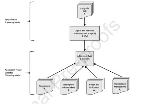 conditional dependence relationships among variables in the early life